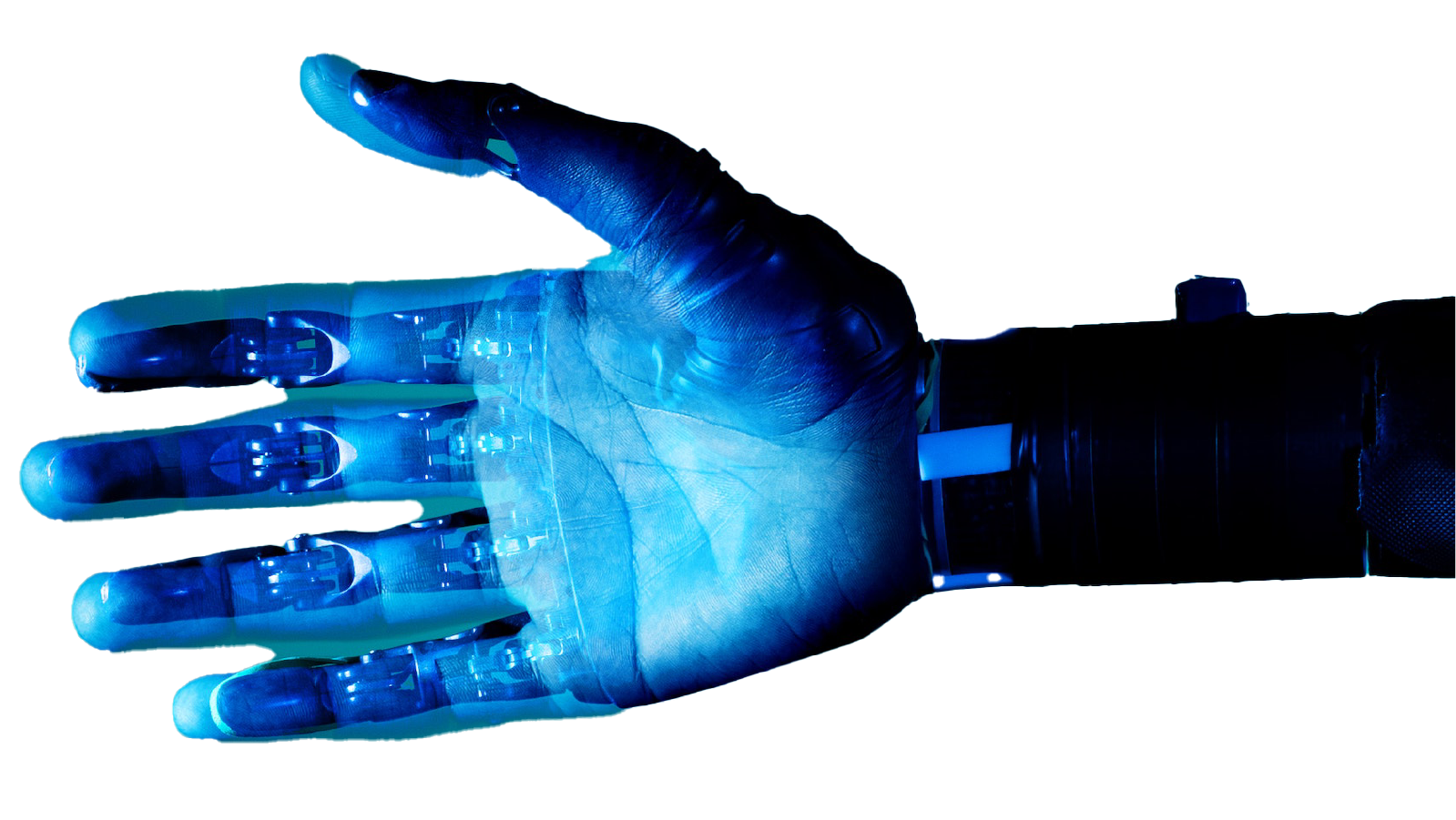 Hero: It's Prodigy, an innovative Italian start-up founded in 2017